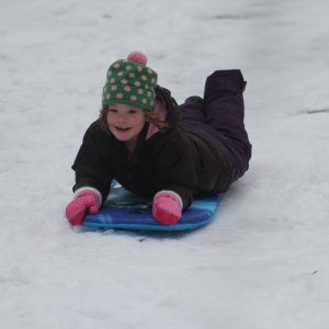 Getting Creative: the Art of Sled Making | Borncute.com