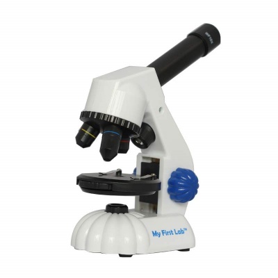 10 Best Microscopes for Kids Reviewed in 2024 | Borncute.com