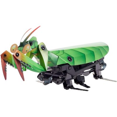 Cool Bug Toys To Consider for your Kid in 2024 | Borncute.com